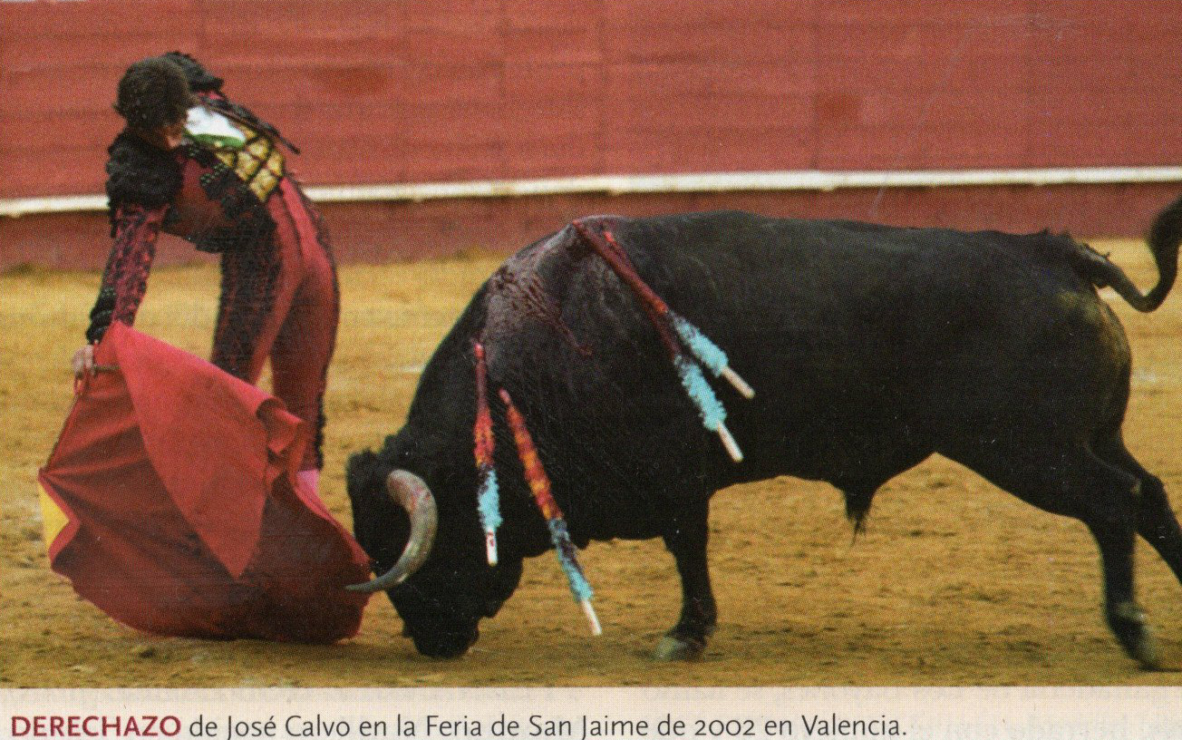 GABRIEL FERNÁNDEZ GONZÁLEZ (José Calvo) - historiadeltorero