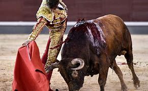 CHRISTIÁN PAREJO - historiadeltorero