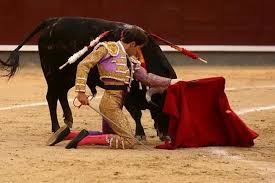 FERNANDO PLAZA - historiadeltorero